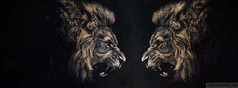Lion Vs Lion Facebook Cover Photo