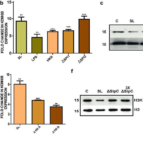 Kdm6b Demethylase Activity Is Necessary For Intracellular Survival Of