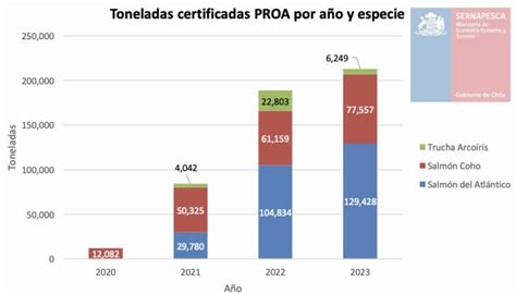 Consumo De Antibióticos En El Salmón Chileno Alcanza Su Valor Más Bajo