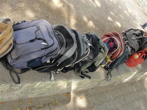 Olivia Olander Archives The Mustang