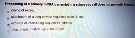 processing of primary mrna transcript in eukaryotic cell does not