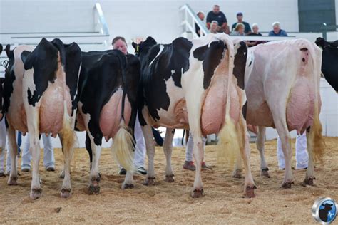 Dairy Agenda Today Dairy News