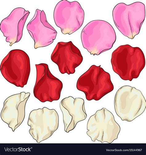 Set Of Hand Drawn White Pink And Red Rose Petals Sketch Style Vector