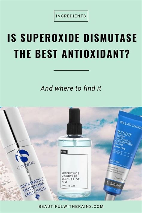 Is Superoxide Dismutase The Best Antioxidant Of All? | Skin care, Hide ...