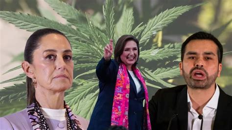 Qué opinan los candidatos presidenciales sobre la legalización de la marihuana y otras