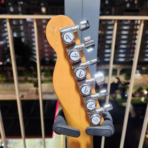 Warmoth Thinline Telecaster Hobbies And Toys Music And Media Musical