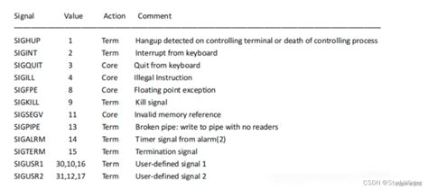 Linux系统编程 信号linux系统编程自定义实时信号 Csdn博客