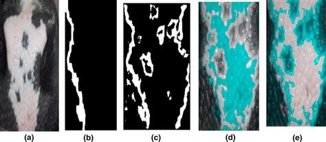 illustrates segmentation of muzzle point image download scientific