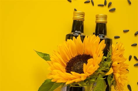 해바라기 기름 기름 병 흩어져있는 검은 해바라기 씨앗과 밝은 노란색 배경에 피는 해바라기 해바라기 기름 모형 유기농 천연 농장 해바라기 기름 식용 Oilstop 전망 공란에