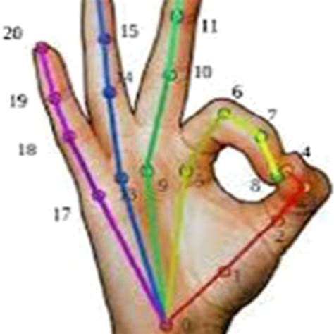 the 25 keypoints recognized by openpose in human motion detection