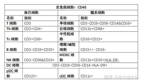 【流式秘籍】人类常见免疫细胞的标记物有哪些？ 知乎