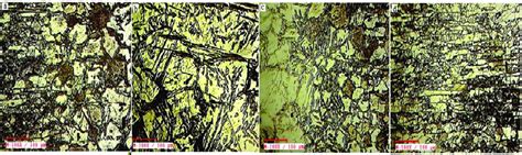 Optical Microstructures Of Gta Welded Dss 2205 Dss 2205 Made With 2209
