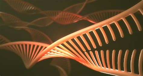 Sequencing Reveals New RNA Molecules That May Play A Role In Aging RNA Seq Blog