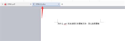 Pdf