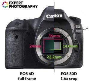Full Frame Vs APS C Which Camera Do You Need
