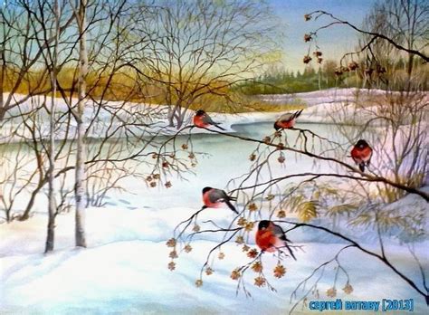 8 (640x470, 288Kb) | Winter watercolor, Birds painting, Watercolor ...