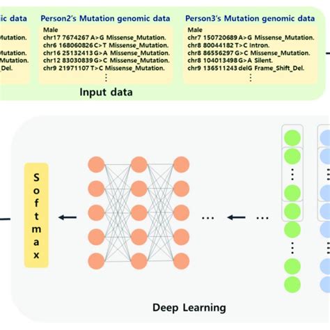 The Overall Schema For The Prediction Of Cancer Using Whole Genome Data Download Scientific