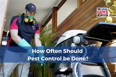 How Often Should Pest Control Be Done The Local Guys Pest Control