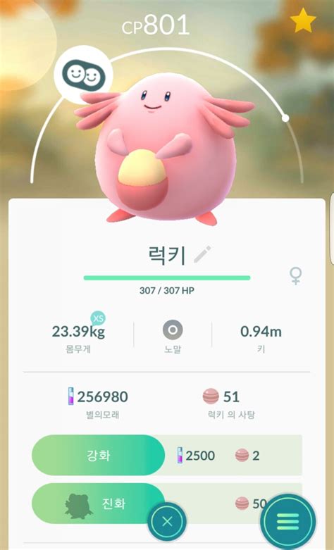 포켓몬고 해피너스 럭키 진화로 갖게 됐어요 네이버 블로그