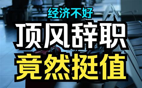 没想到！从经济学角度，现在还挺适合辞职！普通人想通这些财务观，让你人生无软肋 玅巫 玅巫 哔哩哔哩视频