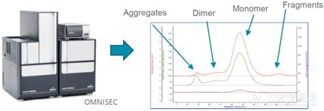 【aav】dlssecdsc多种技术结合，助力aav基因递送载体的表征马尔文帕纳科