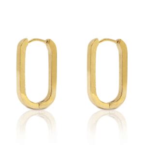 RVS Stainless Steel Oorbellen Oval Goud Feestjeknutselen Nl