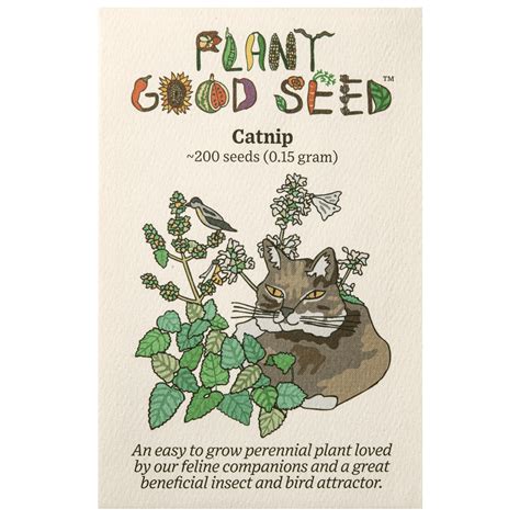 Plant Good Seed Catnip Seed Packet Organic Seeds Mint Perennial Grow For Cat Nip Toys Part