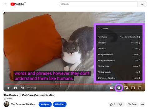 How To Add Captions To Videos Methods To Try Out