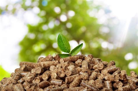 What Is Biomass Energy Theory