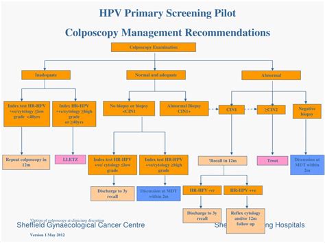Ppt Primary Hpv Screening A View From Colposcopy Powerpoint Presentation Id 9176907