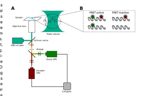 Instrumentation For A Smfret Experiment Download Scientific Diagram