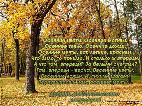 Стихи здравствуй осень золотая Стихи про золотую осень читать