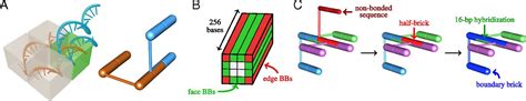 Direct Observation And Rational Design Of Nucleation Behavior In