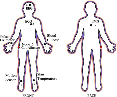 Position Of Onbody Sensors In Wbsn With 8 Nodes Download Scientific