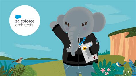 Salesforce Solution Architect Vs Technical Architect Key Differences