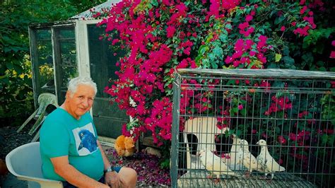 Meulemans And Sion Youtube