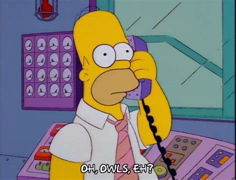 Homer Simpson Ow GIFs Find Share On GIPHY