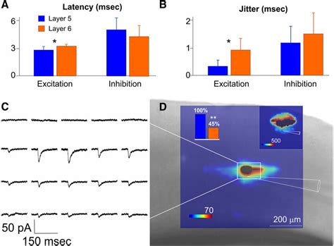 Direct Inputs From The Thalamus To Corticocollicular Neurons A Download Scientific Diagram