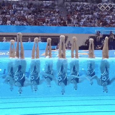 Swimming Olympics  Swimming Olympics Synchronized Swimming