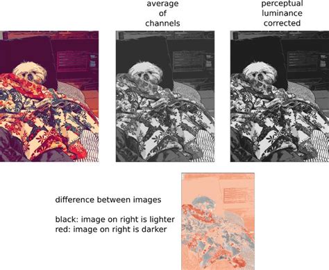 How To Convert An RGB Image To Grayscale Grayscale Grayscale Image Machine Learning Course