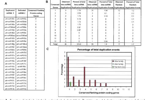 Figure 1 From Evolution Of Arabidopsis Microrna Families Through