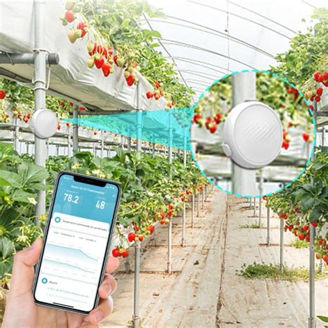 Smart Wifi Temp And Humidity Sensor Reusables And More