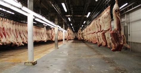 Forget The Robots Meat Processing Is Still A Humans Job