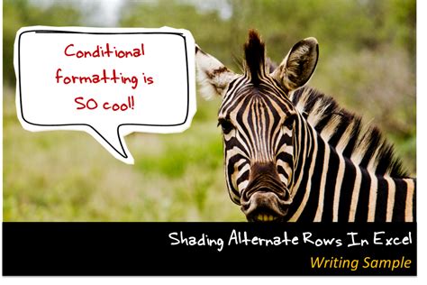 Shading Alternate Rows In Excel Mike Taylor