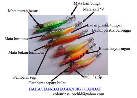 Mata Candat Sotong Umpan Tarquino Perea