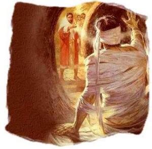 No te he dicho que si crees verás la gloria de Dios Temas y Devocionales Cristianos