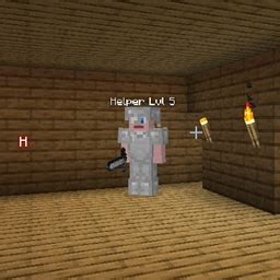 The Helpers Minecraft Mods CurseForge