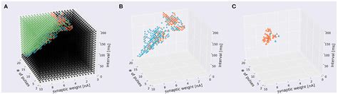 Frontiers Discrimination And Learning Of Temporal Input Sequences In A Cerebellar Purkinje