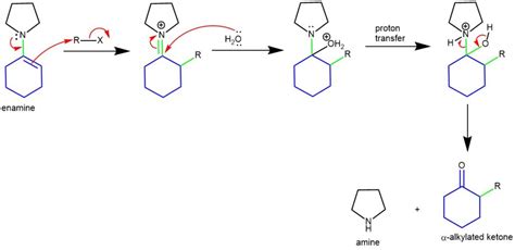 Stork Enamine Synthesis Alkylation Of Aldehyde Or Ketone My