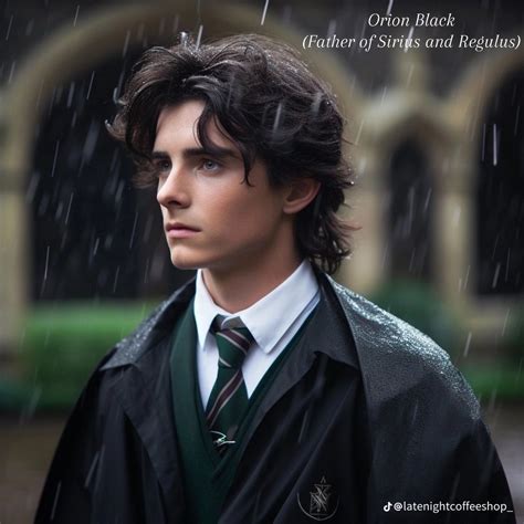 Pin By Maiah Oliveira On Harry Potter Harry Potter Characters Harry